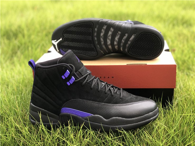 Air Jordan 12 Retro “Dark Concord” CT8013-005 - FavSole.com