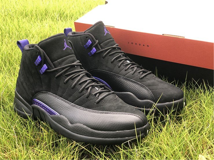 Air Jordan 12 Retro “Dark Concord” CT8013-005 - FavSole.com